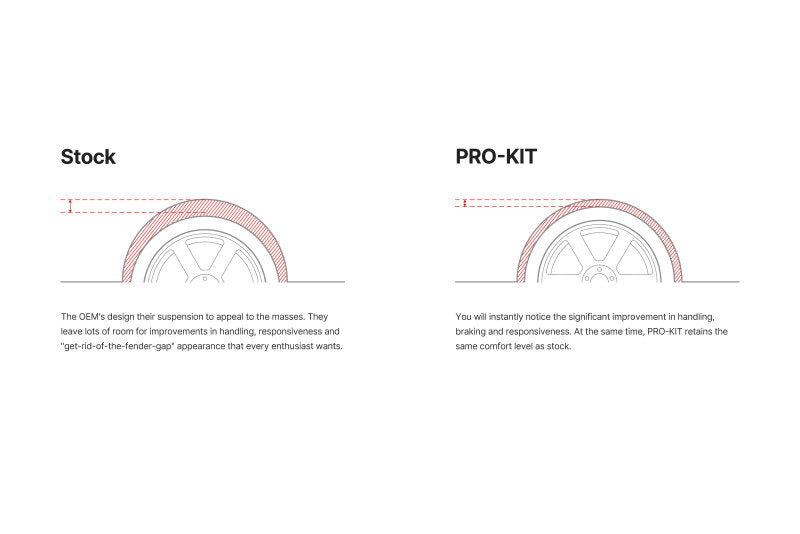 Eibach Special Edition Pro-Kit for 2018 Dodge Challenger SRT Demon ...